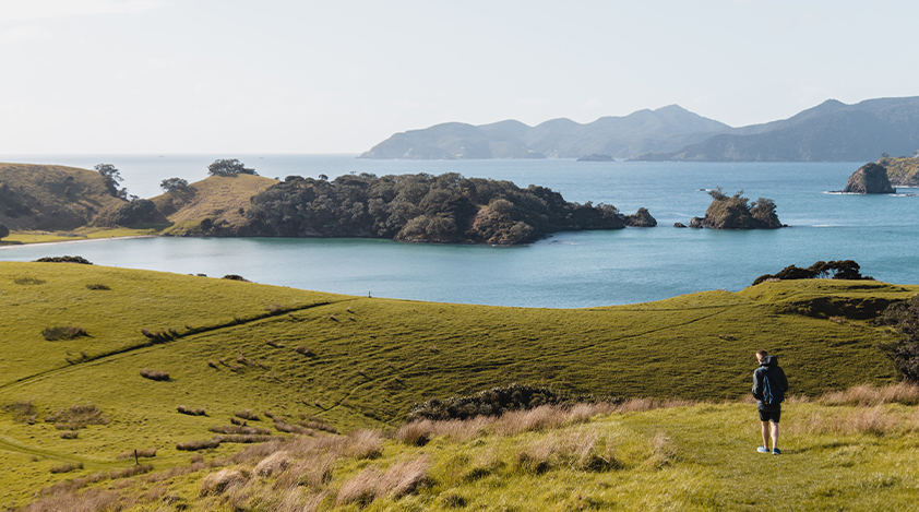 Explore the two main islands of New Zealand | Entire Travel Group